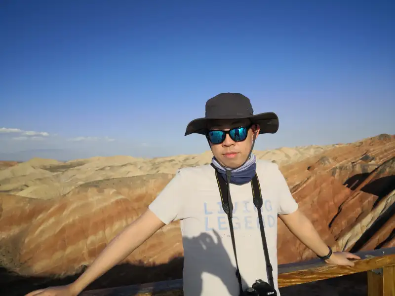 Cockatiel - Parrot Realm